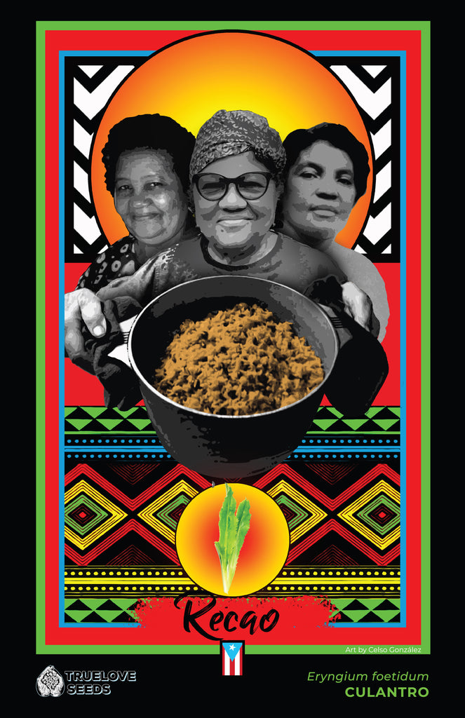 Philadelphia Stories Collection: Recao (Culantro) *POSTER* – Truelove Seeds