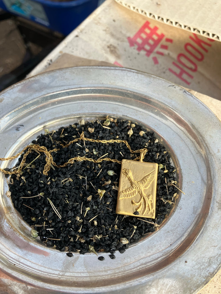 Tareh (Persian Leek) – Truelove Seeds