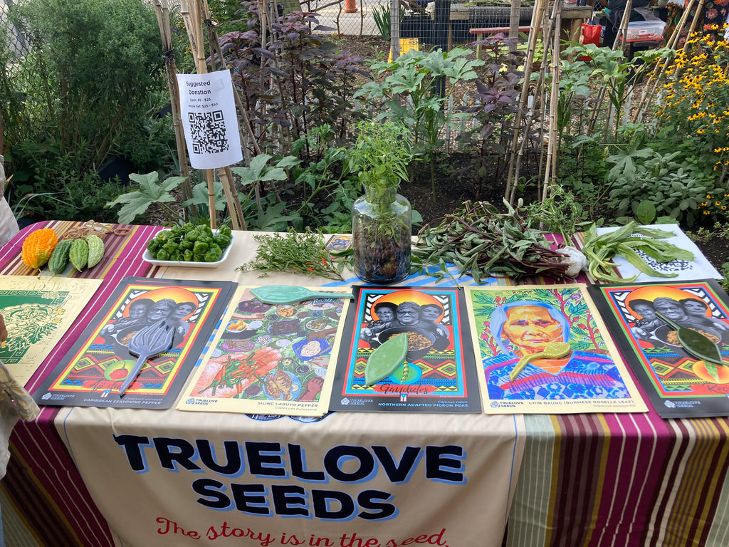 Philadelphia Stories Collection: Recao (Culantro) *POSTER* – Truelove Seeds