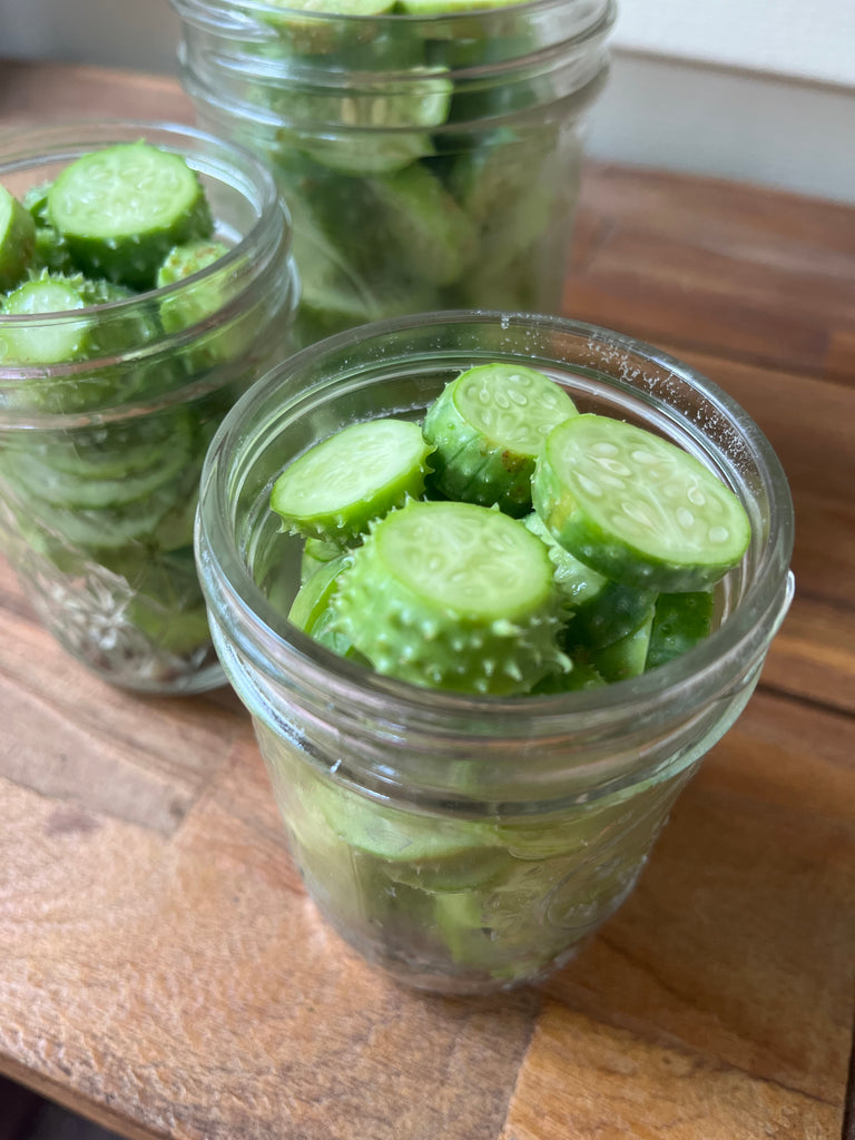 Burr Gherkin – Truelove Seeds