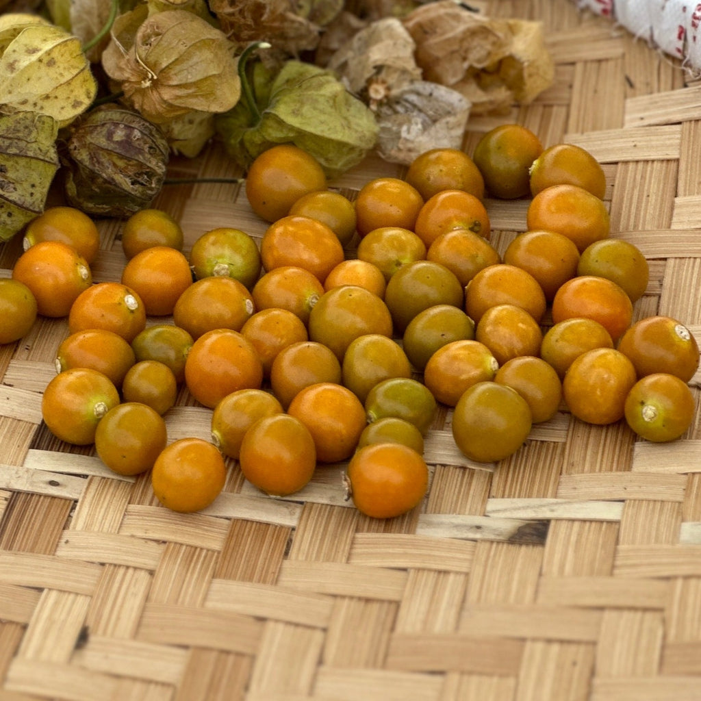 Uvilla (Savory) – Truelove Seeds