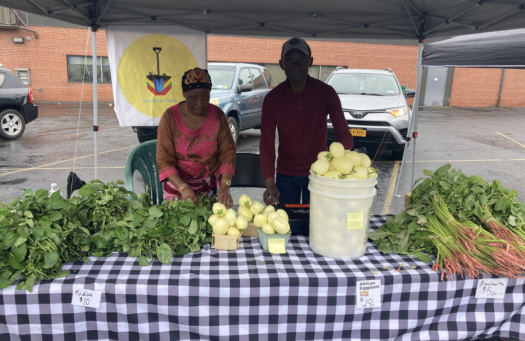 Mnavu (Leafy Green Nightshade) – Truelove Seeds