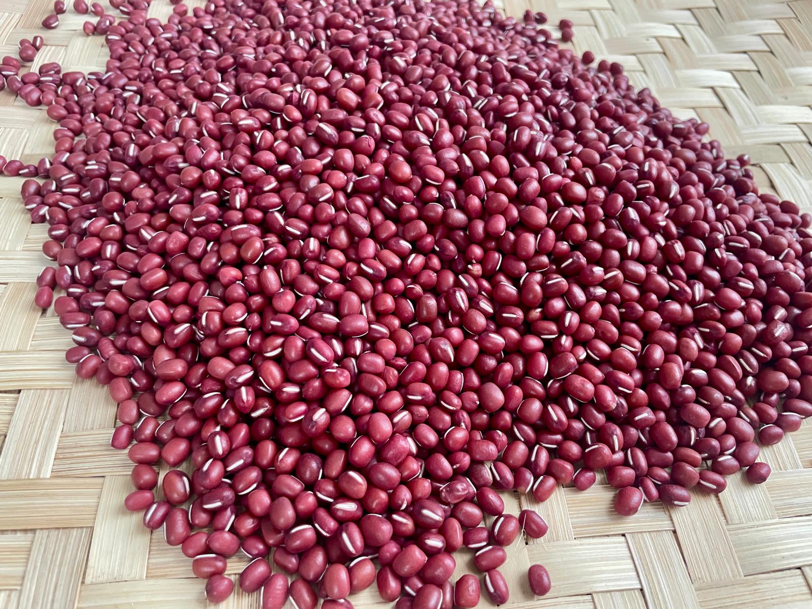 Adzuki Bean – Truelove Seeds