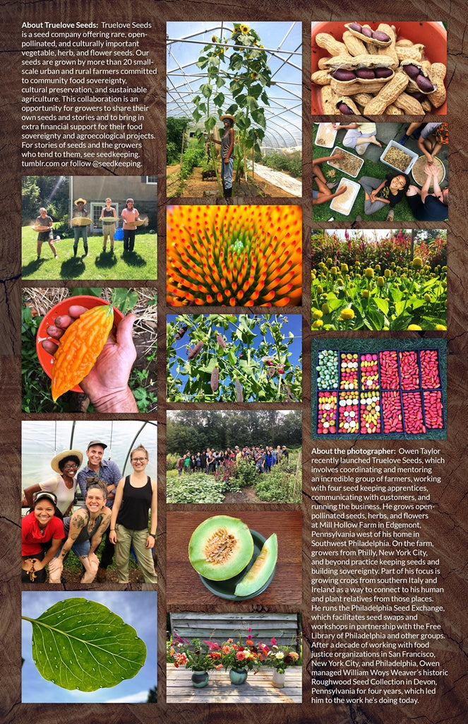 2019 Seed Keeping Calendar – Truelove Seeds