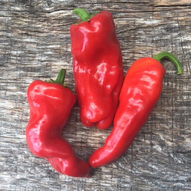 Aleppo Pepper Aleppo Pepper | Herb Stop Arizona's Herbal Store