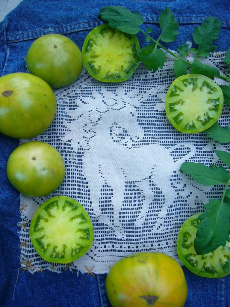 Aunt Ruby's German Green Tomato – Truelove Seeds