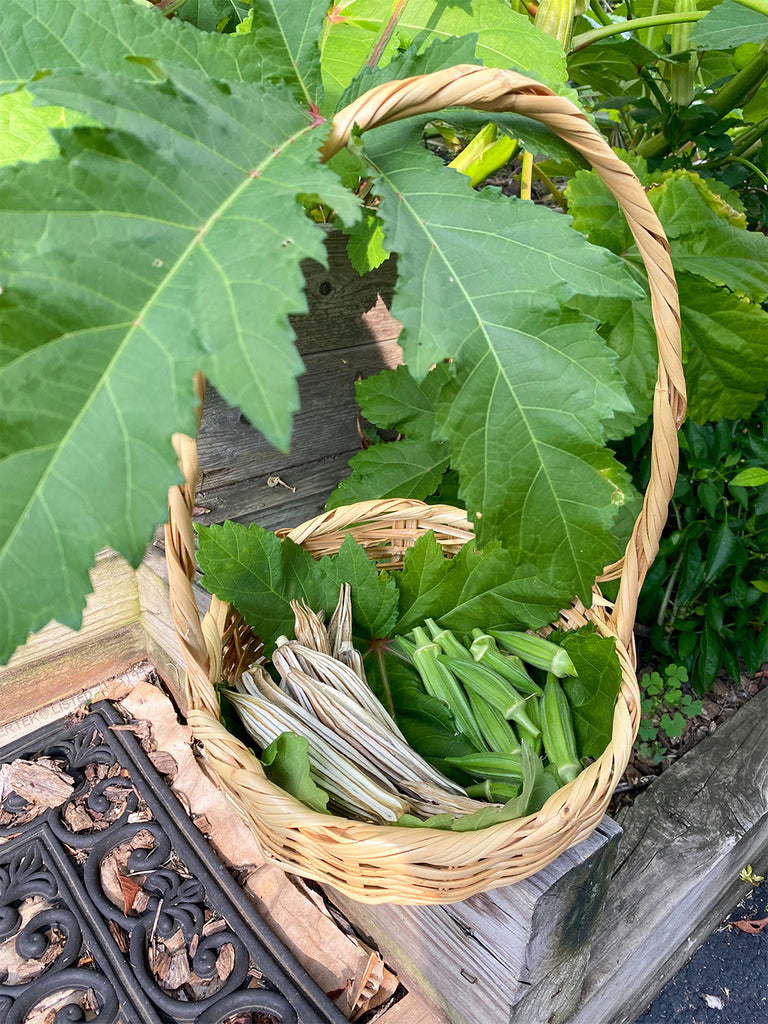 Bamyeh Falastinia Okra – Truelove Seeds