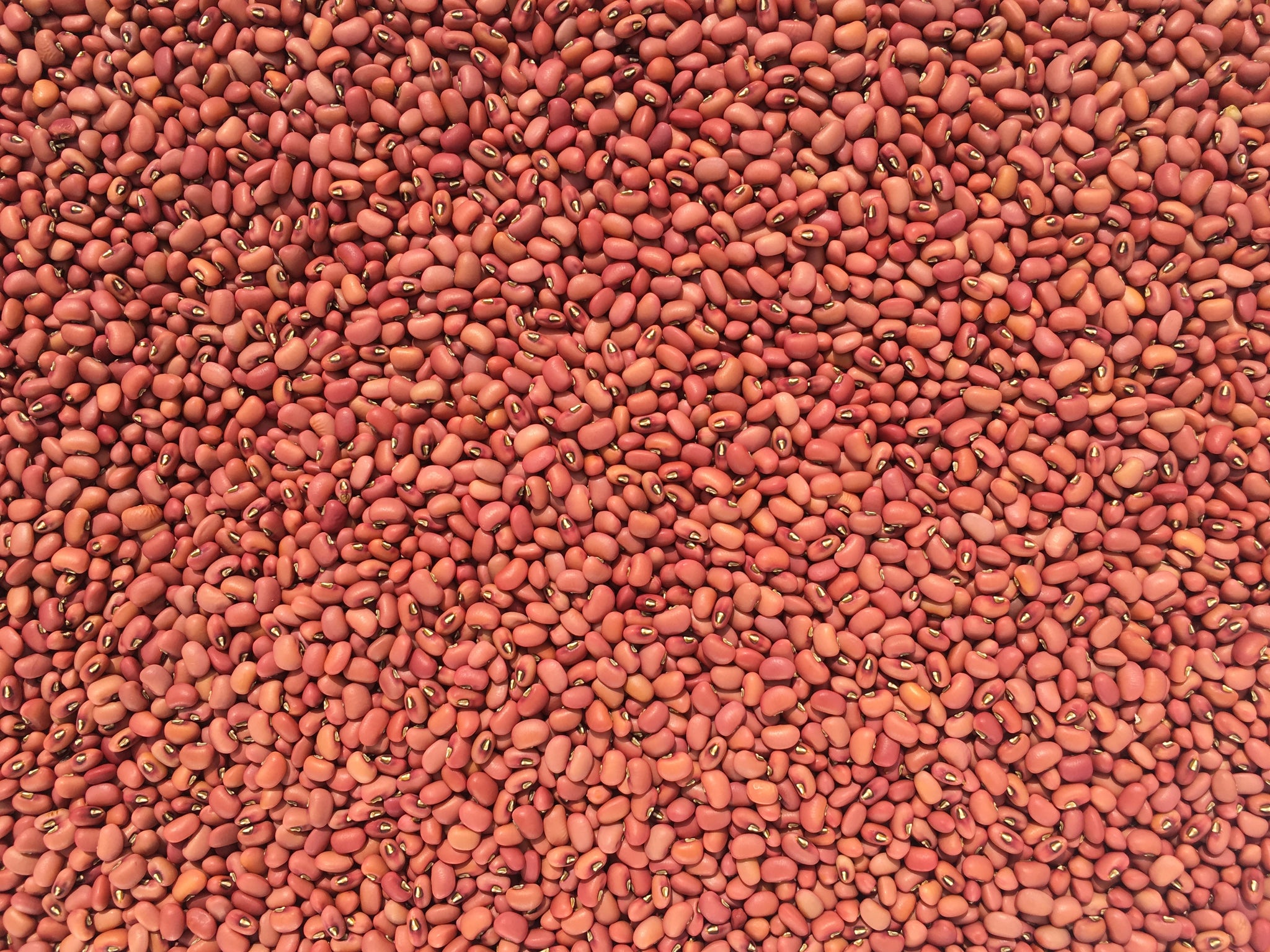 Red Peas Authentic Louisiana Red Beans And Rice